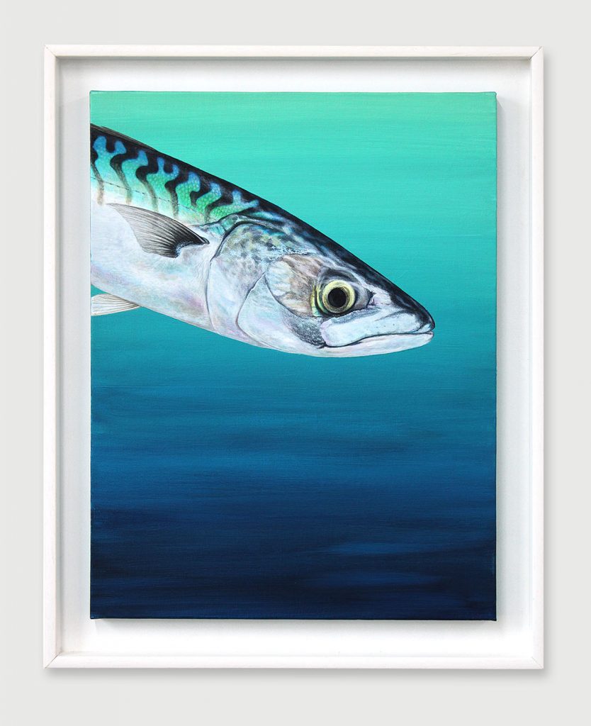 Original Fish Paintings For Sale - Hand-painted Wall Art